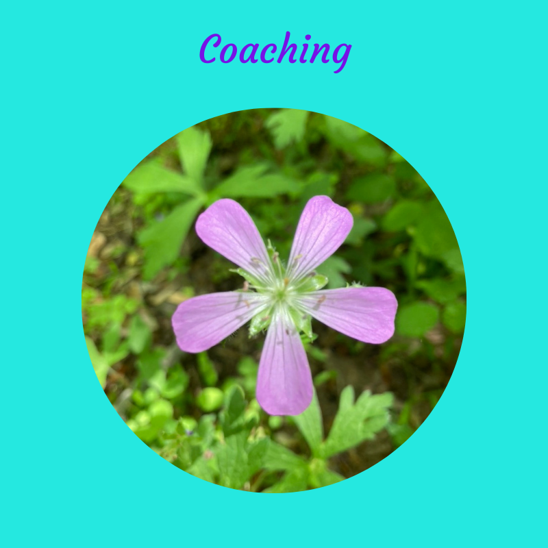 Coaching - Krista Verrastro - Drama Therapist